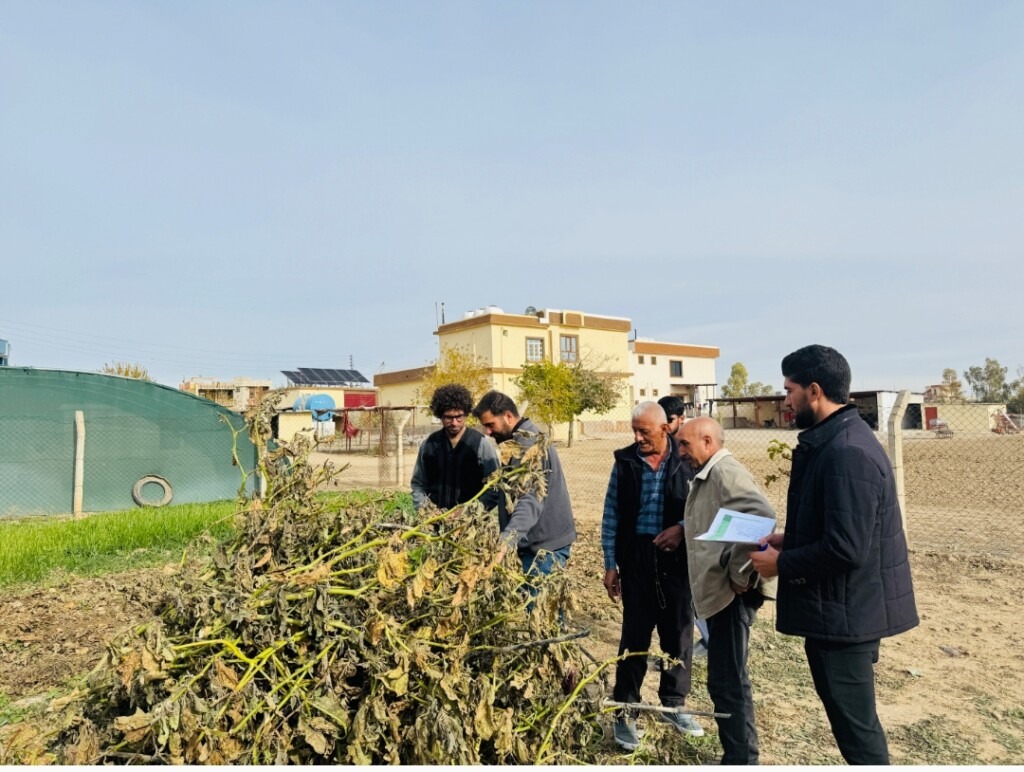 KUCHI KHODEDA KUCHI | Alqosh Farm Unity
