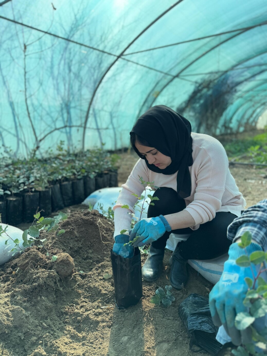 Haliz Izadeen Mhammad | Alqosh Farm Unity